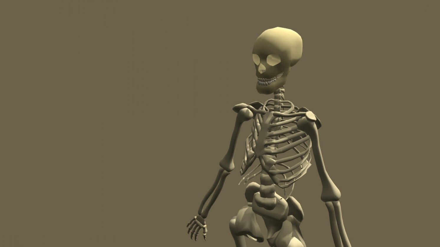 How to Make a Skeleton Game Model - Making a 3d skeleton model for ...
